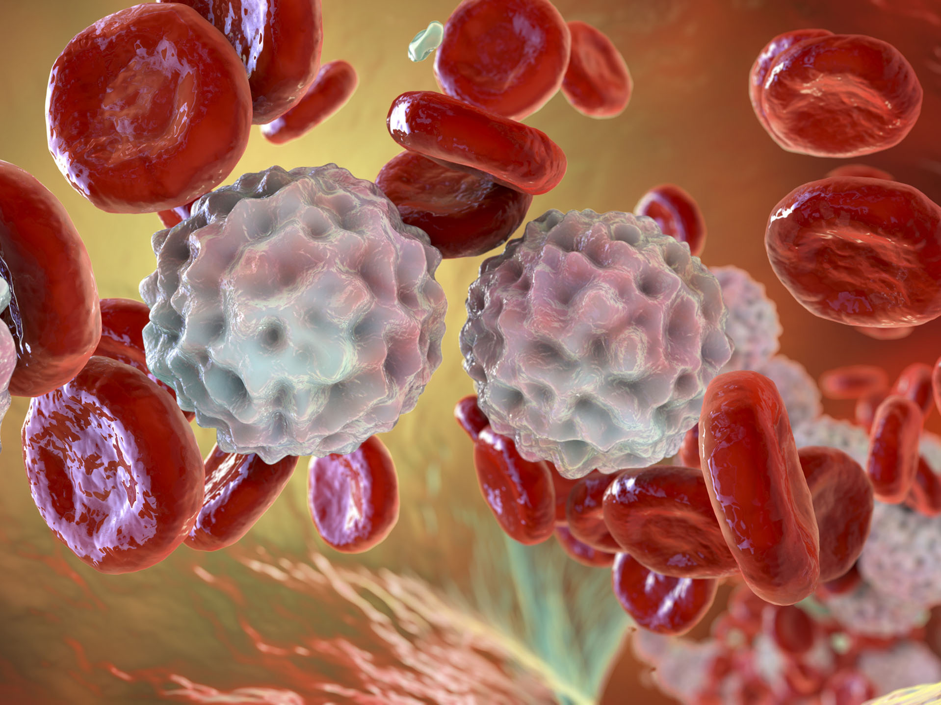 Blood Cells Inside Them Researchers Identify COVID 19 Proteins That